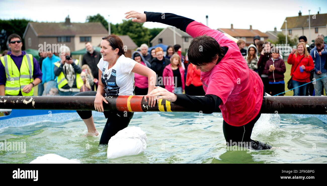 It's A Knockout! Stock Photo - Alamy