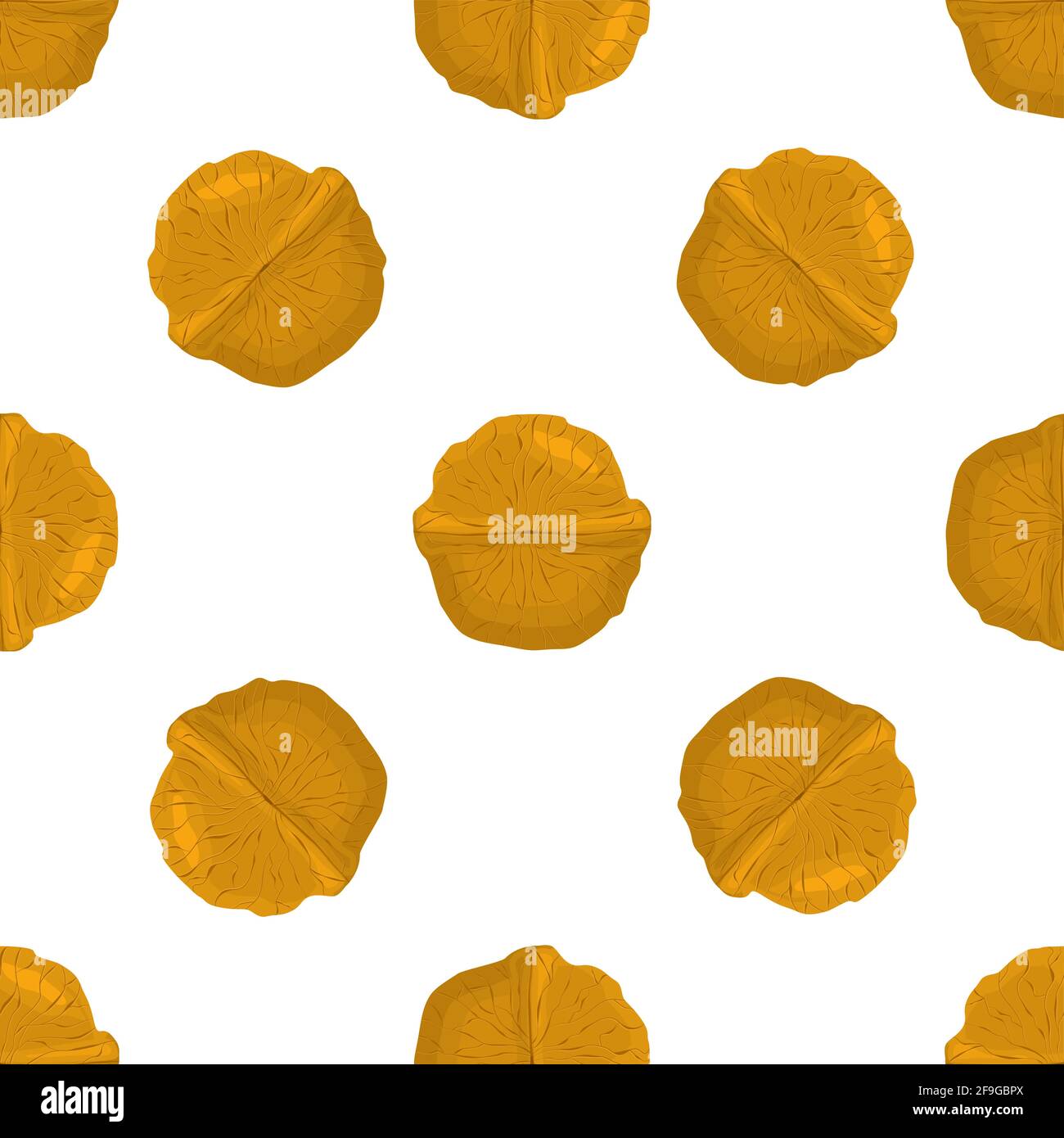 Walnut shell texture Stock Vector Images - Alamy