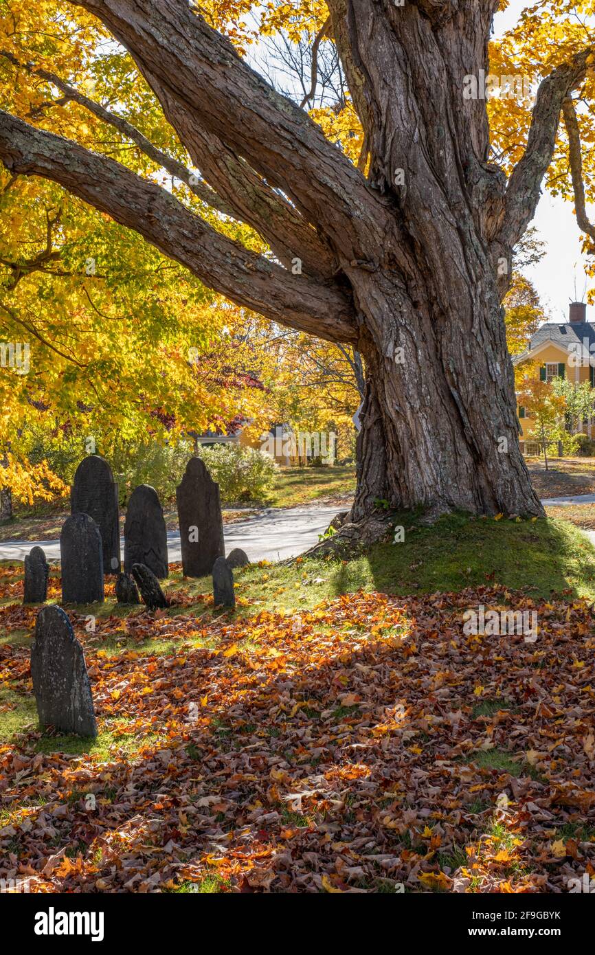 The Petersham Center Cemetery on the town common in Petersham ...