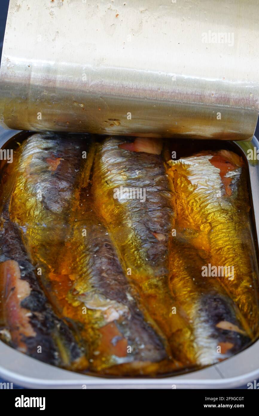 Tin of French sardines in olive oil Stock Photo - Alamy