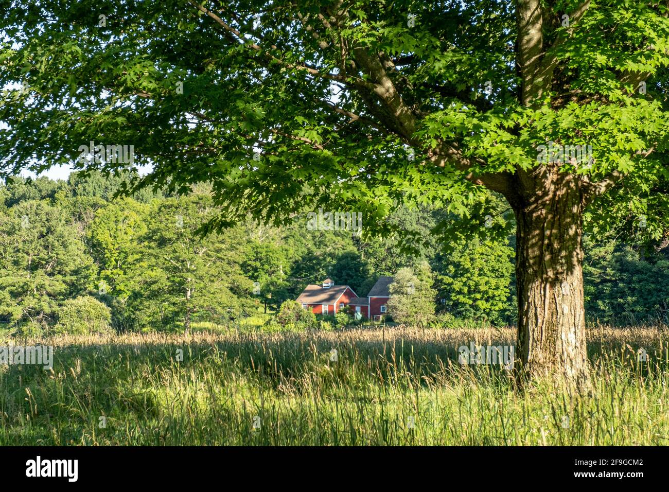 A meadow in Petersham, Massachusetts Stock Photo - Alamy