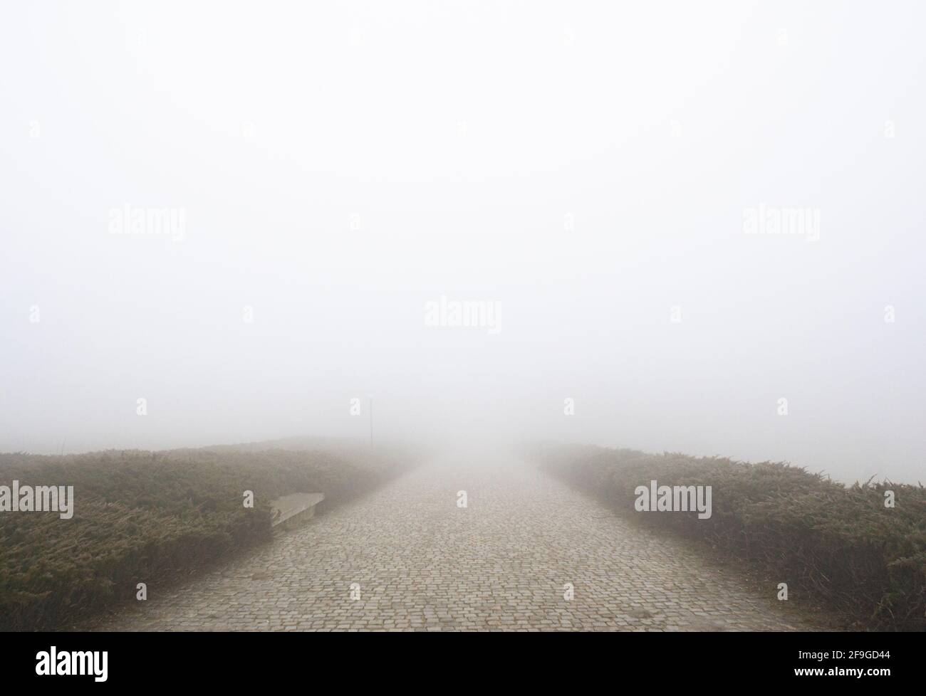 Paving stone road fog hi-res stock photography and images - Alamy