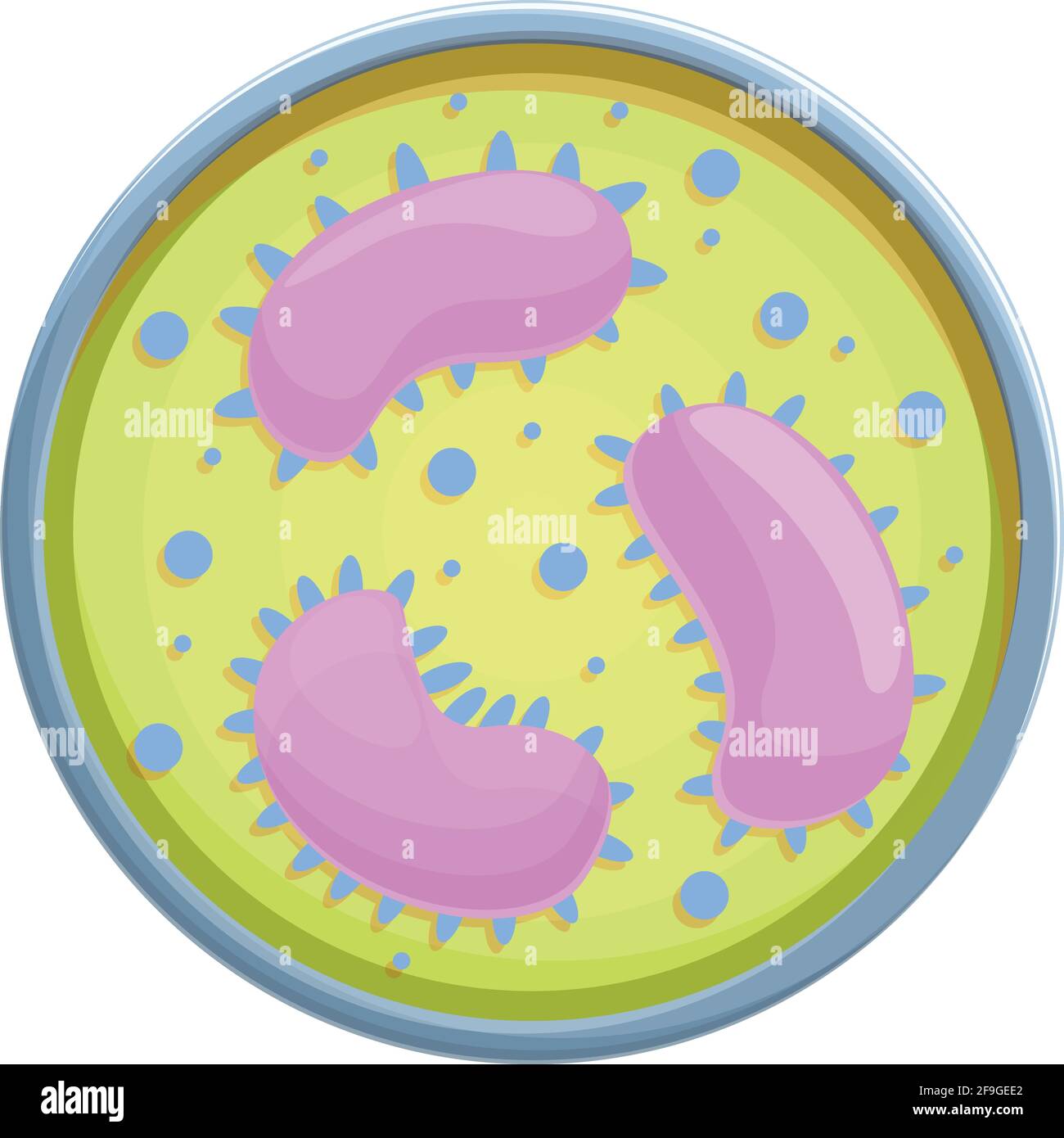 Petri dish experiment icon. Cartoon of Petri dish experiment vector ...