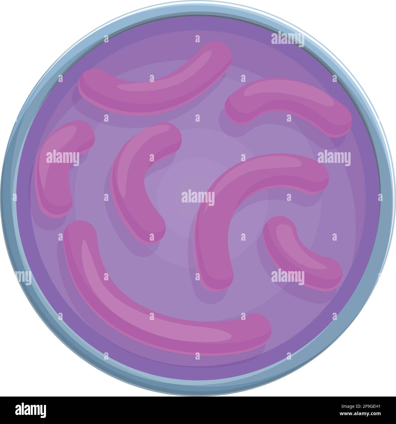 Petri dish pipette icon. Cartoon of Petri dish pipette vector icon for ...