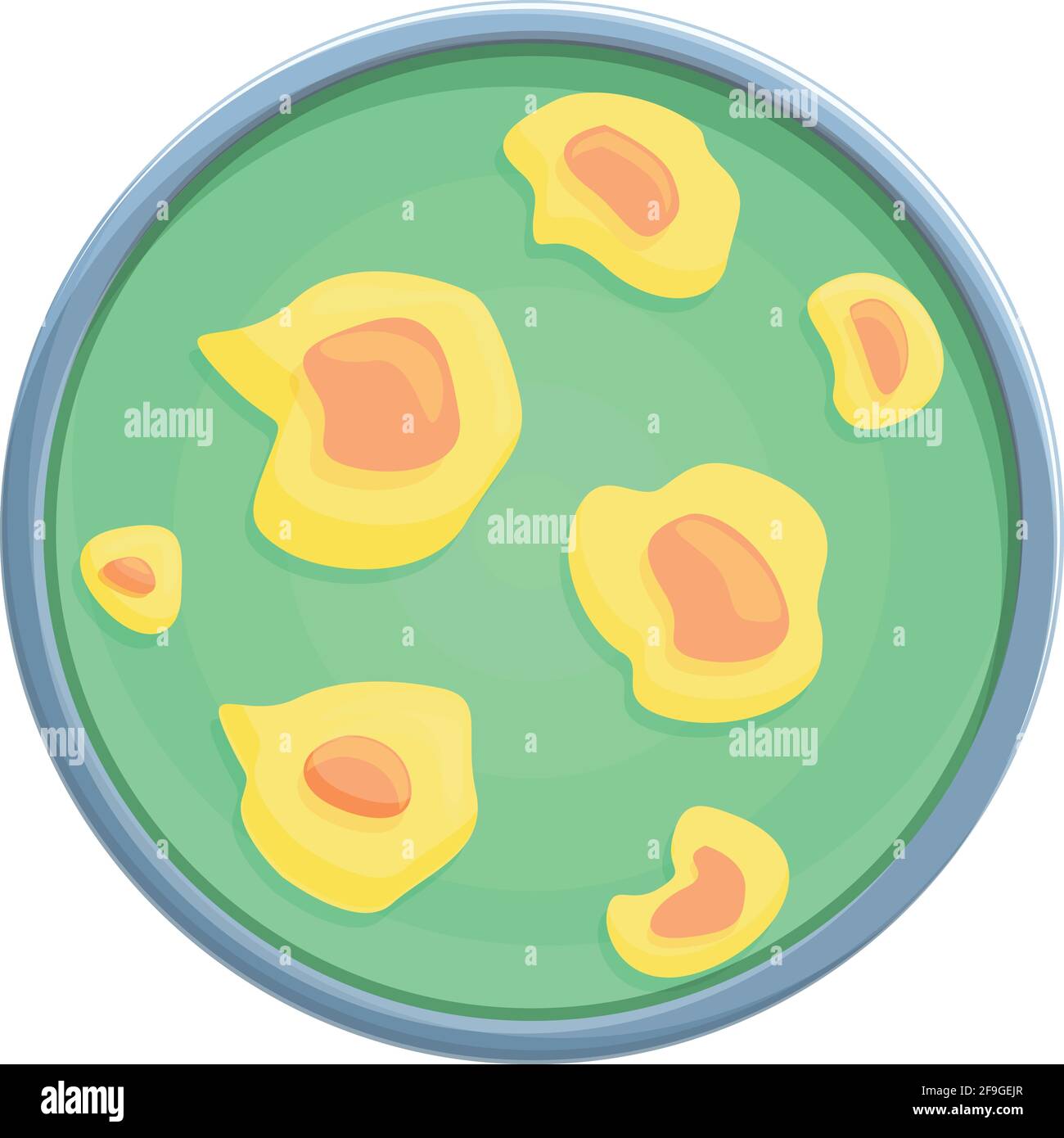 Petri dish biology icon. Cartoon of Petri dish biology vector icon for ...