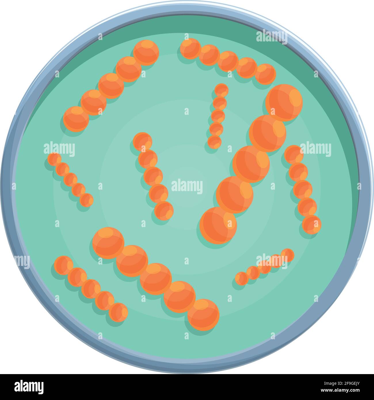 Petri dish chemical icon. Cartoon of Petri dish chemical vector icon ...