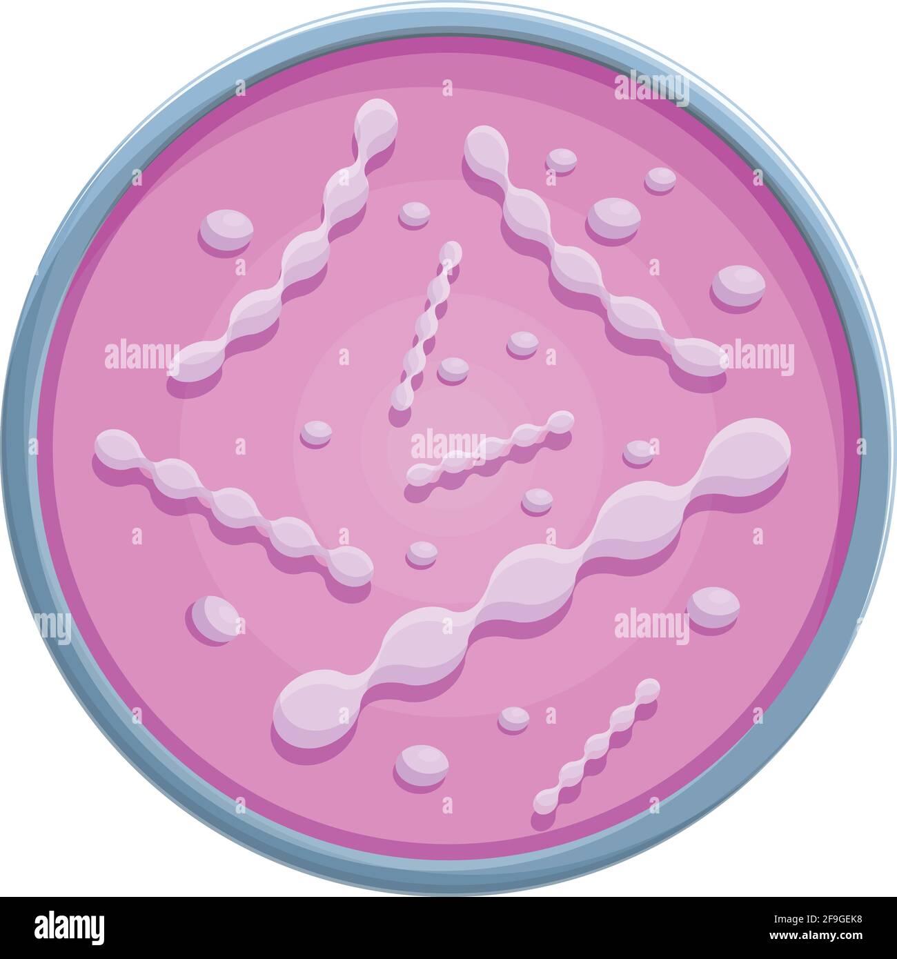 Petri dish bacteria icon. Cartoon of Petri dish bacteria vector icon ...