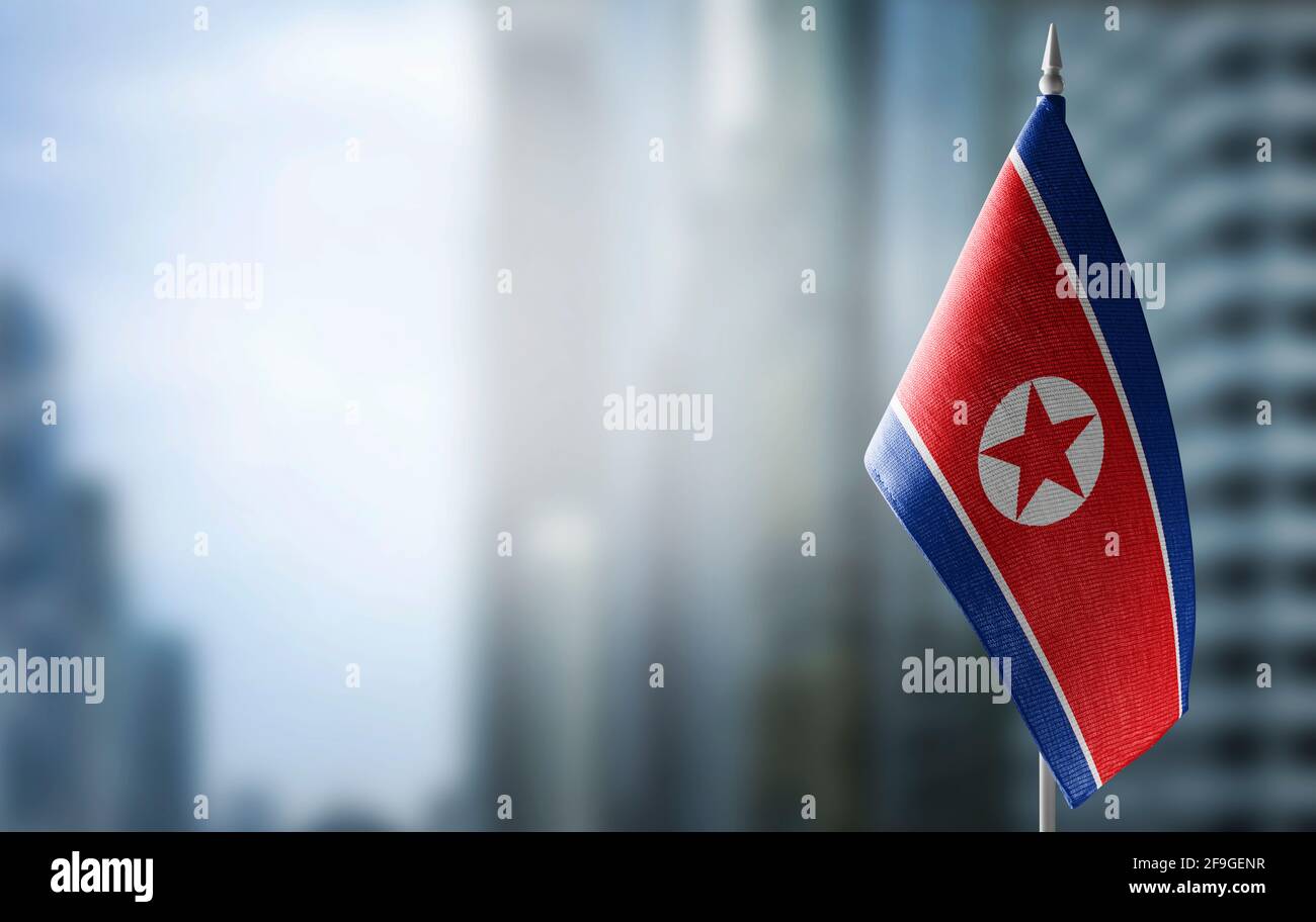 A small flag of North Korea on the background of a blurred background ...