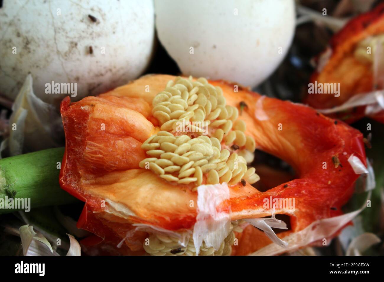 Home kitchen scraps hi-res stock photography and images - Alamy