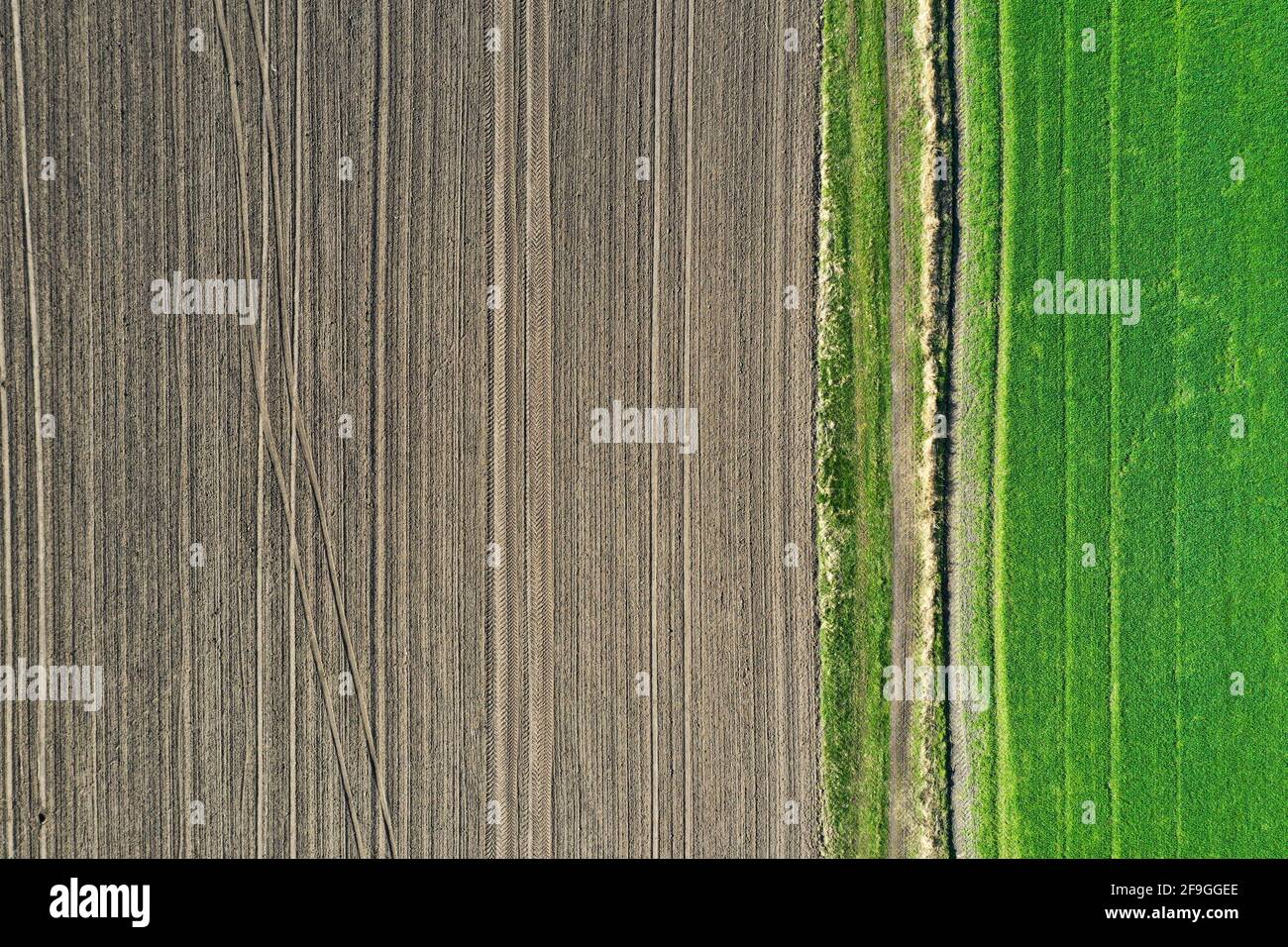 Field, agricultural land seen from above, rural landscape Stock Photo ...