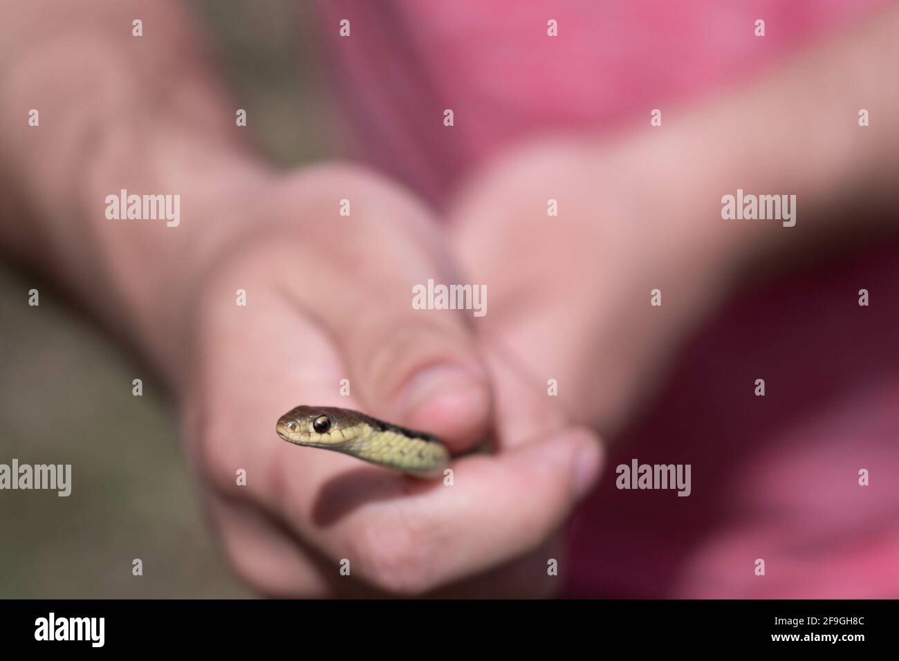 Man with snake scared hi-res stock photography and images - Alamy