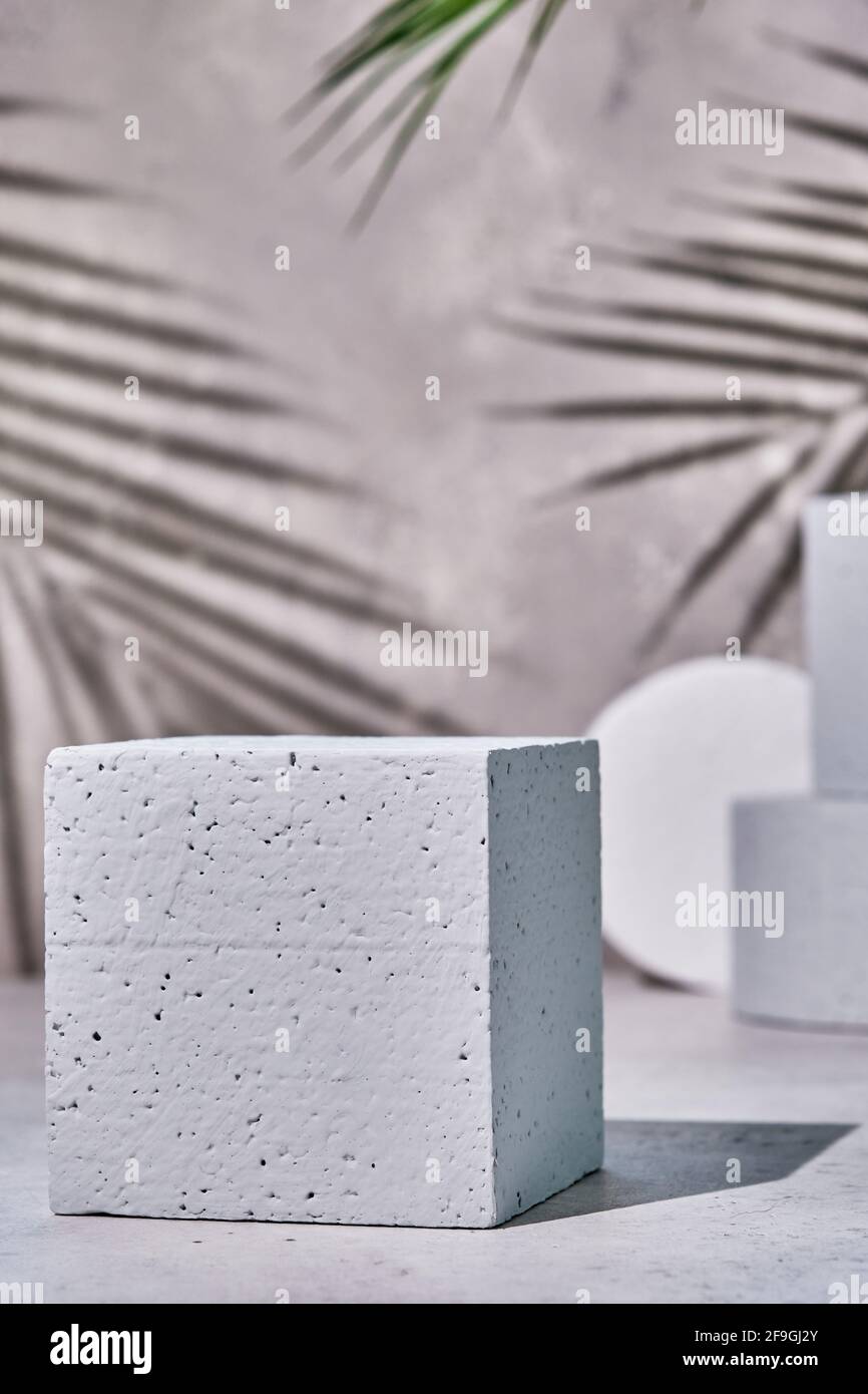 Modern product display on grey background with podium and palm leaves ...