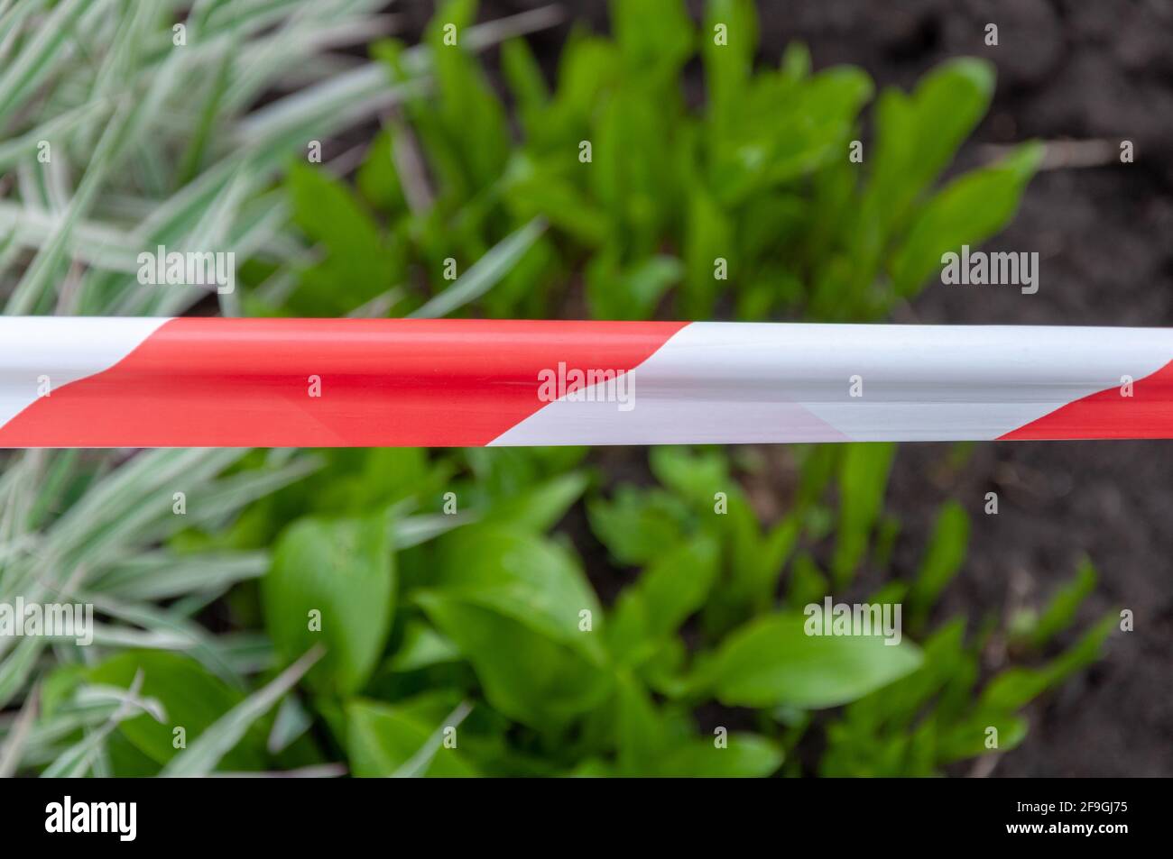 Do not cross line tape. Red and white caution line. Warning tape in red ...