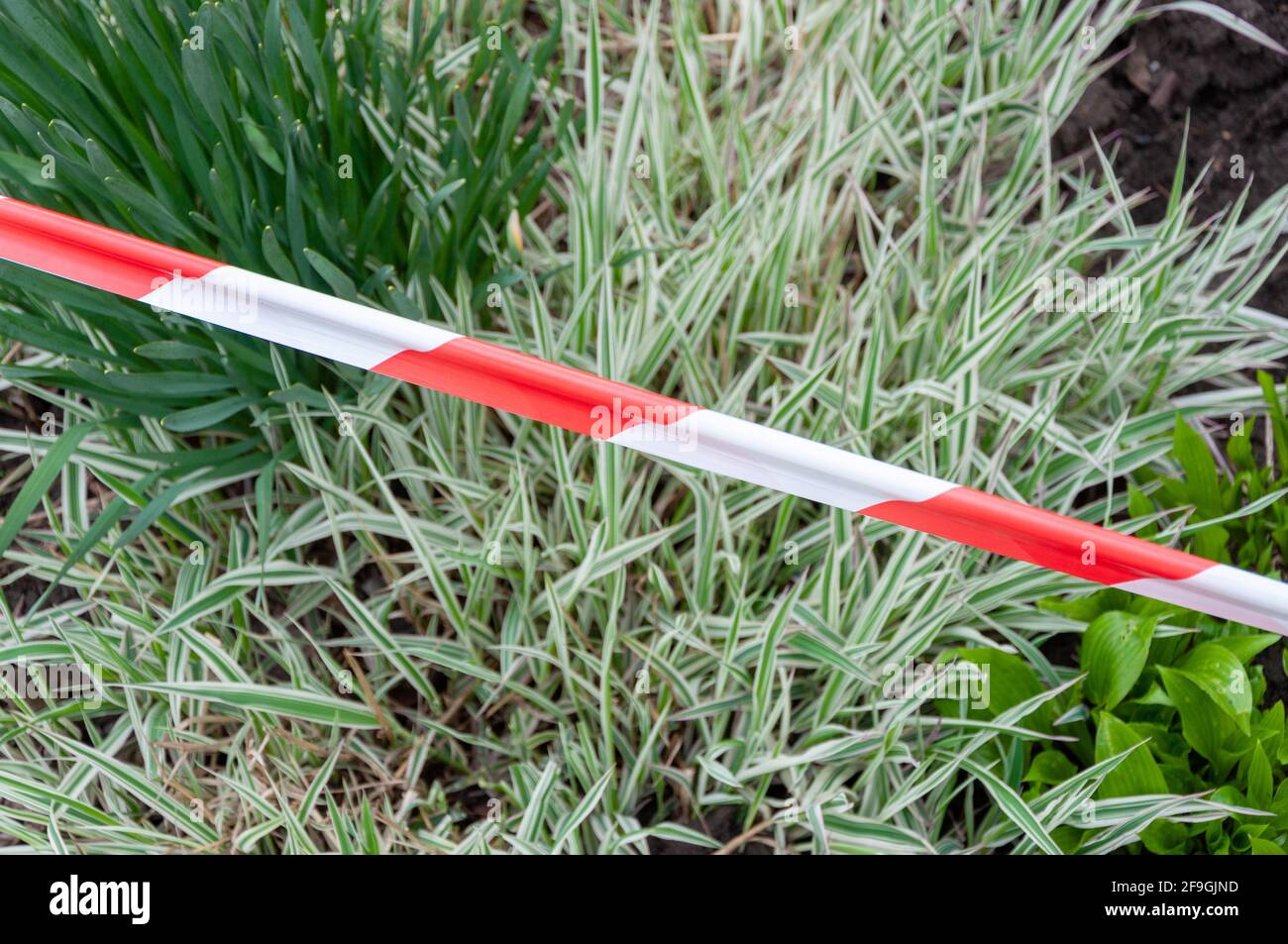 Do not cross line tape. Red and white caution line. Warning tape in red ...