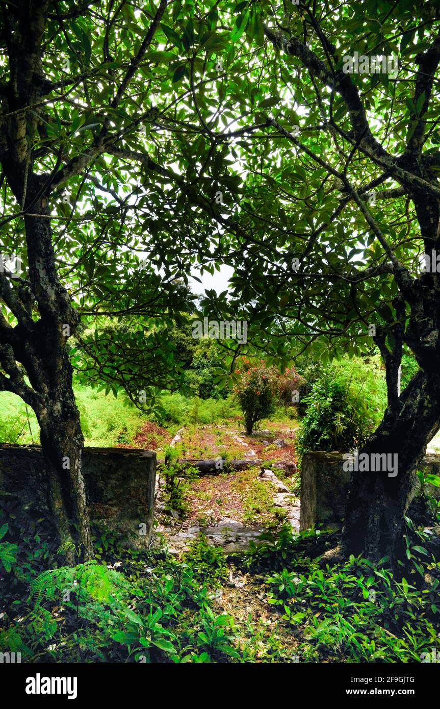 Gate in the forest with little wall and two trees on side to the ...