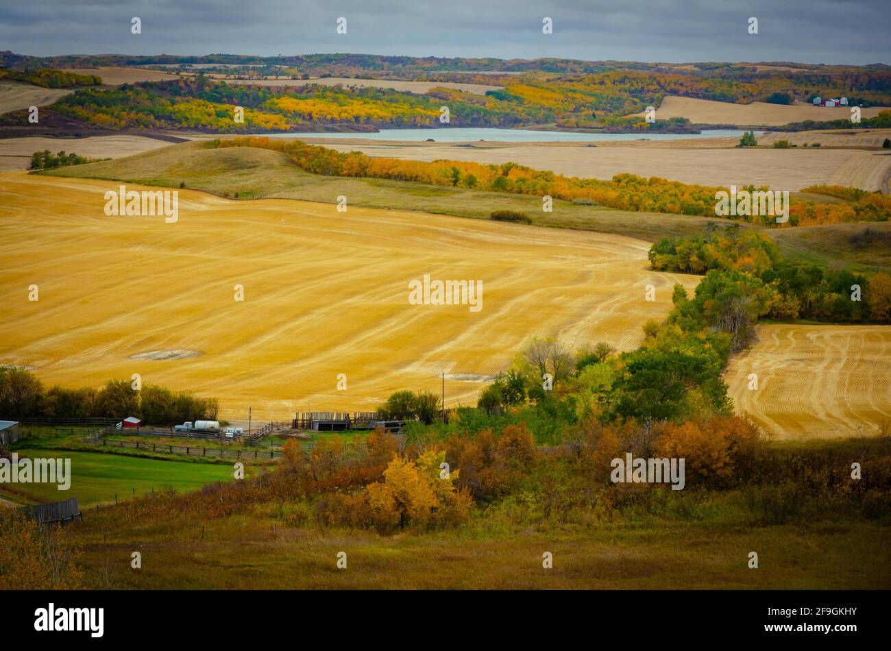 A landscape of farm fields covered in trees and grass under a cloudy ...