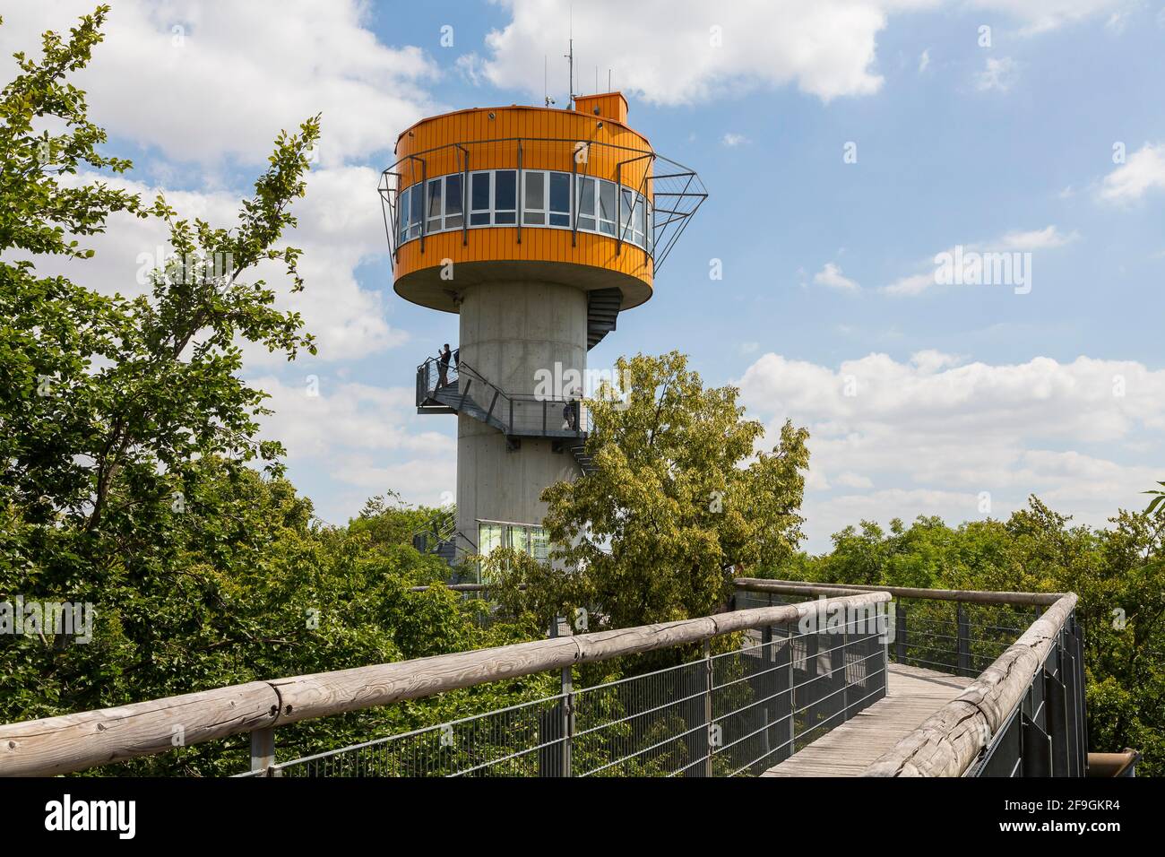Tower at the treetop path in Hainich National Park, Thuringia, Germany ...