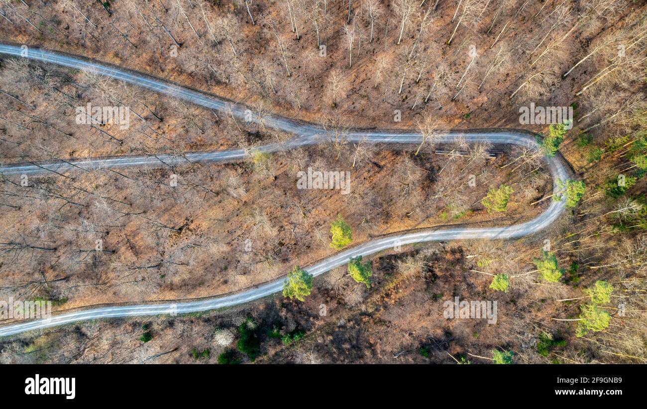 Drone shot trail in forest hi-res stock photography and images - Alamy