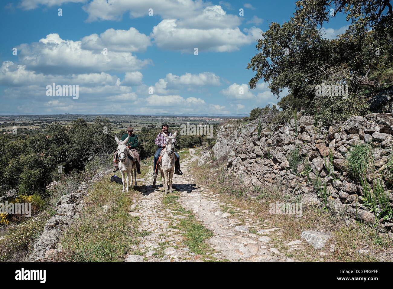 Mule riders hi-res stock photography and images - Alamy