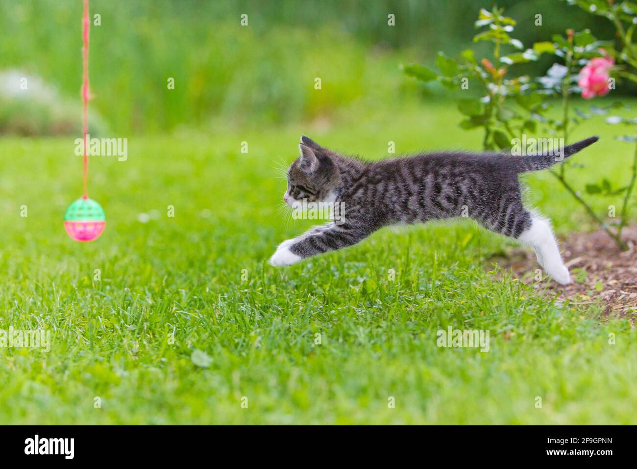 Bell and ball hi-res stock photography and images - Alamy