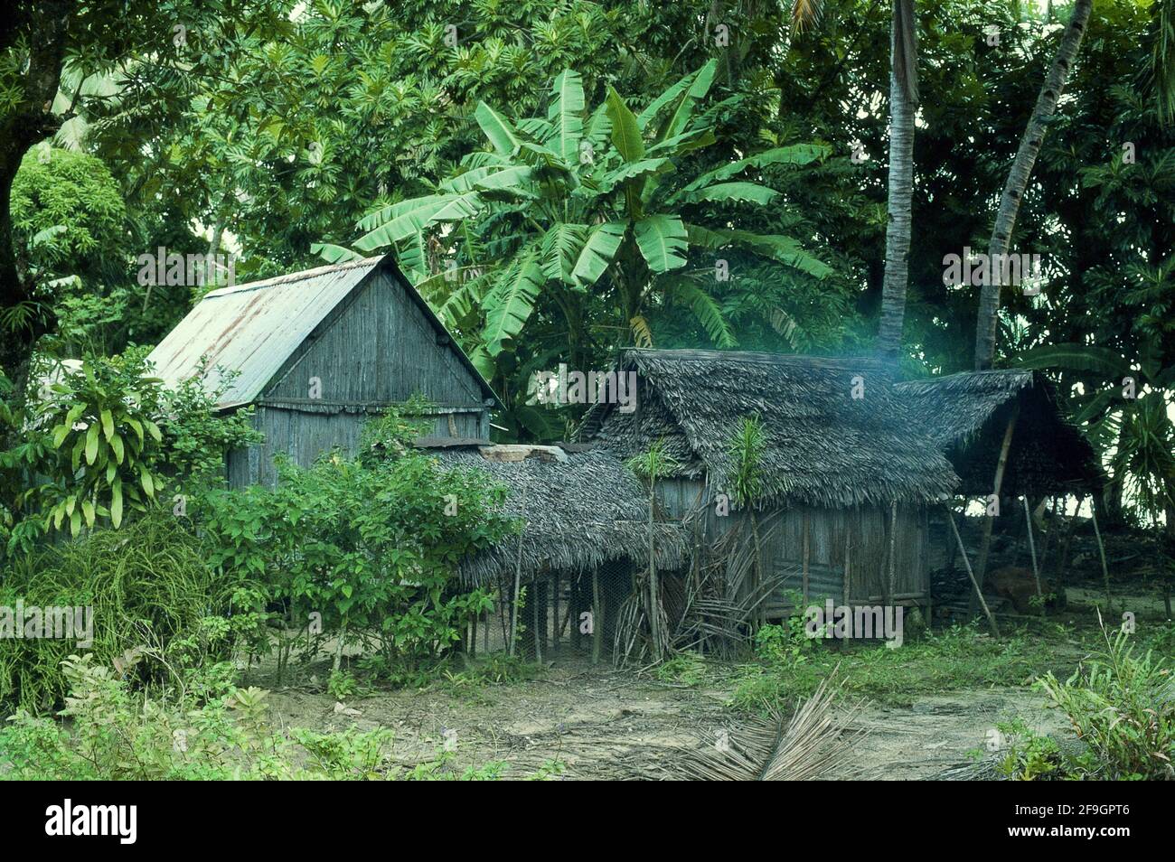 Huts in the forest - Ile Sainte Marie - Madagascar 1982 (Photo on ...