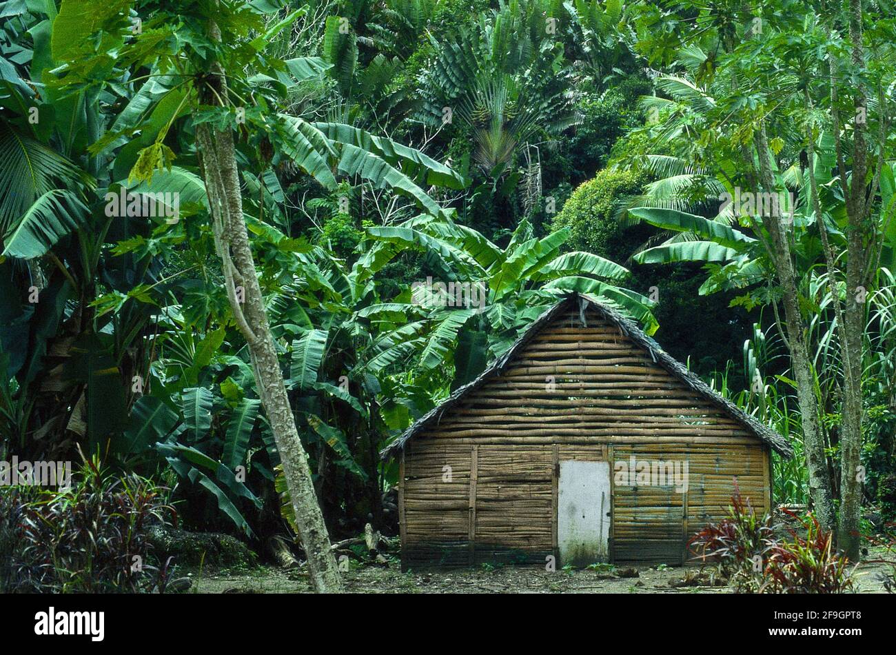 Hut in the forest - Ile Sainte Marie - Madagascar 1982 (Photo on ...