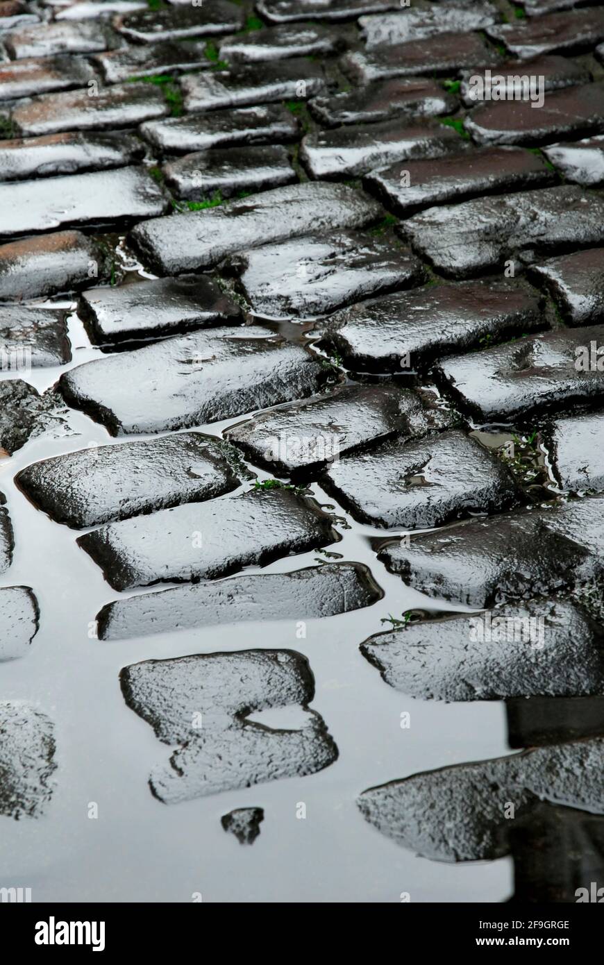 Wet cobblestone pavement, rain puddle, paving stones, puddle, Celle ...