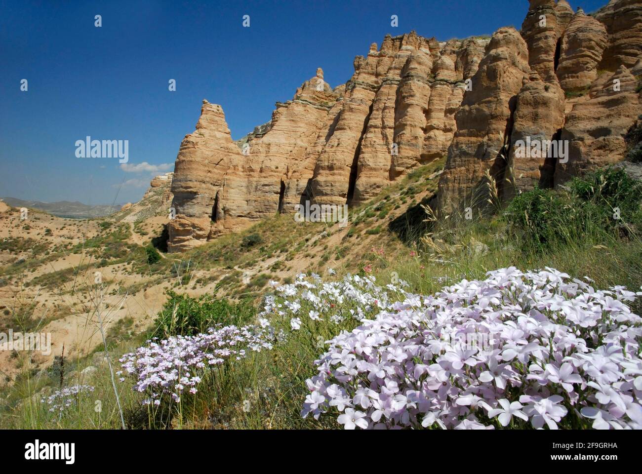 Tuff rock, Red Valley, Cappadocia, Turkey Stock Photo - Alamy