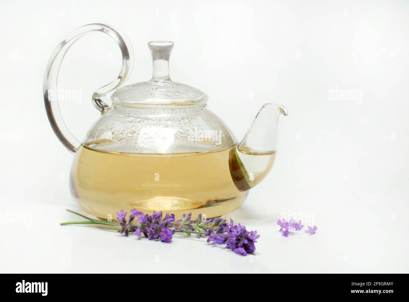 Pot of lavender tea (Lavandula angustifolia Stock Photo - Alamy
