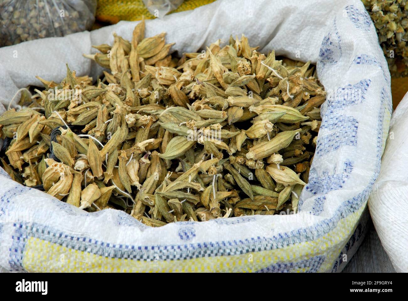 Dried Okraschoten, Rose poplar, Gumbo, Gombo (Abelmoschus esculentus ...