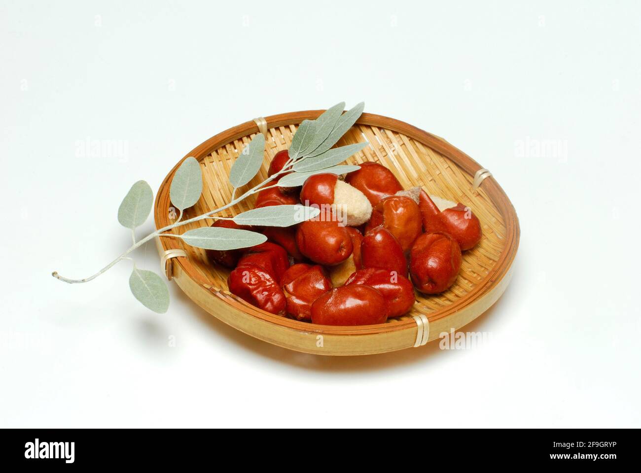 Elaeagnus angustifolia ( Elaeagnus angustifolia) Seeds Stock Photo - Alamy