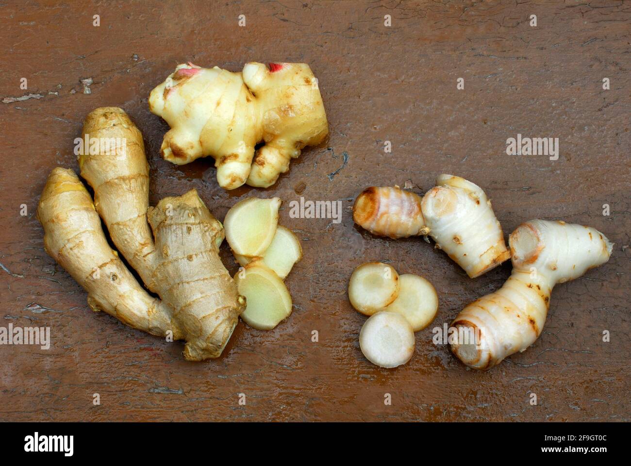 Galangal plant hi-res stock photography and images - Alamy