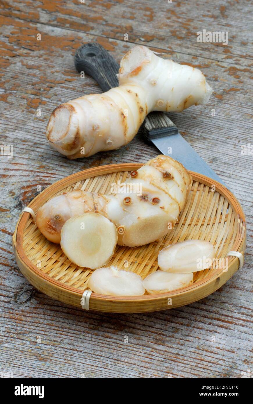 Ginger ( Zingiber officinale) freshly harvested, roots, root, knife ...