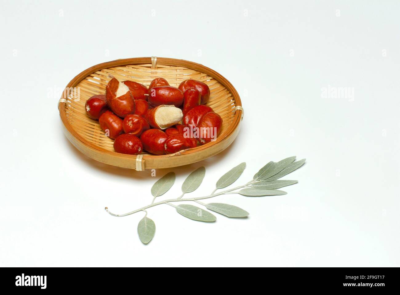 Elaeagnus angustifolia hi-res stock photography and images - Alamy