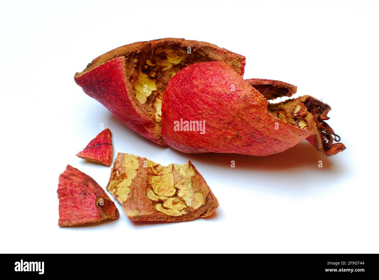 Pomegranate skin Cut Out Stock Images & Pictures - Alamy