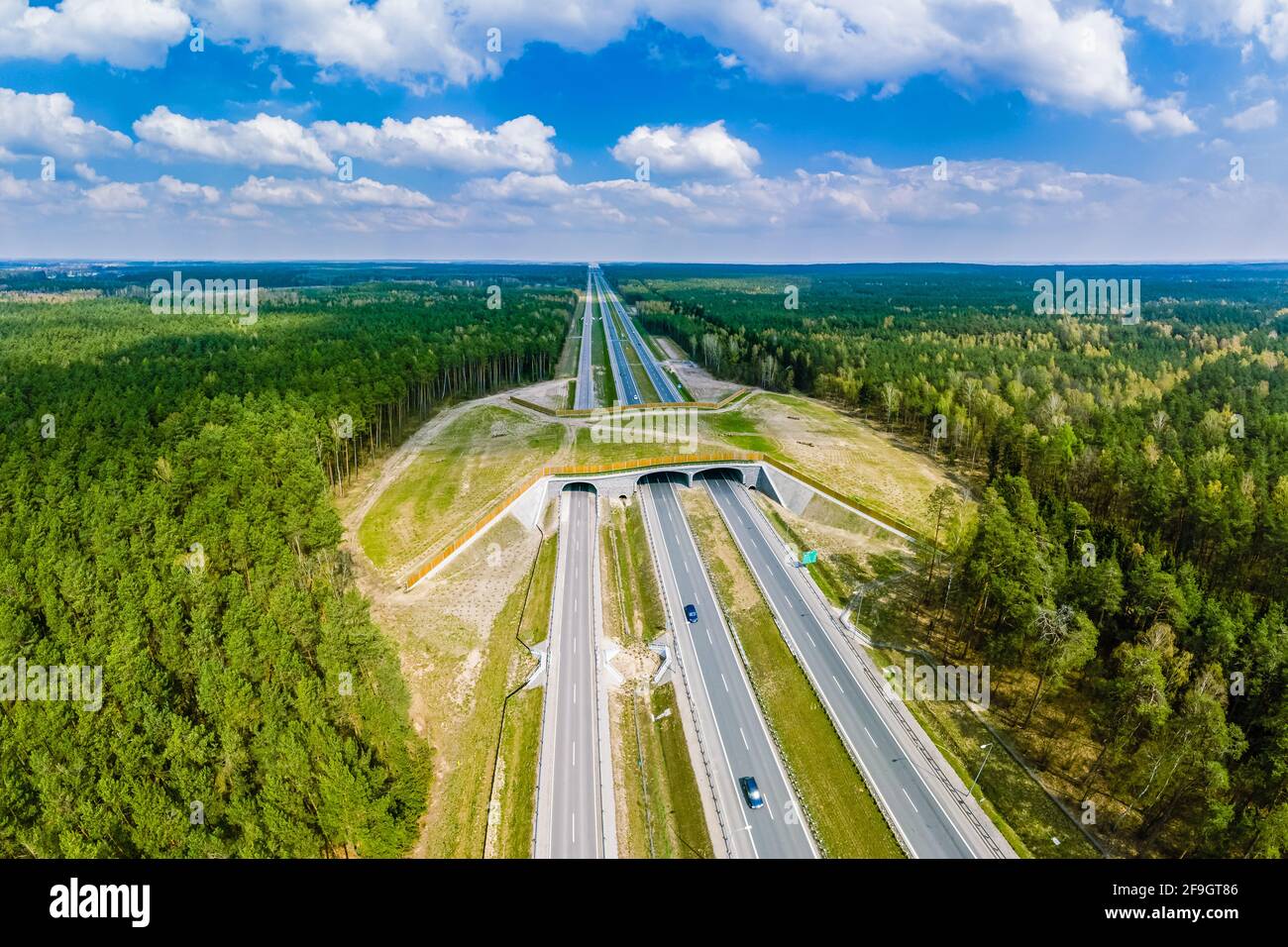 Expressway with ecoduct crossing - bridge over a motorway that allows ...