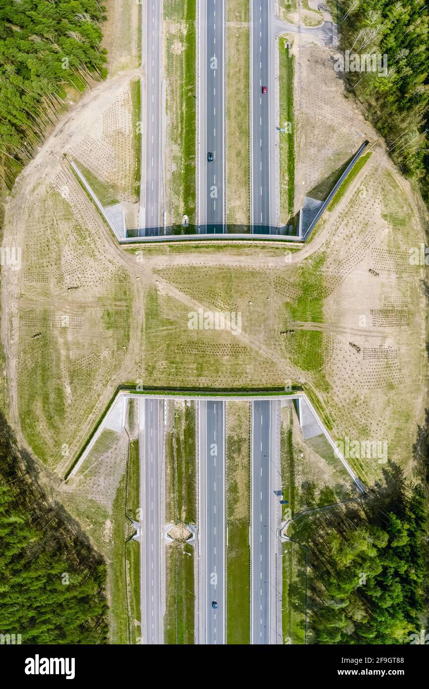 Expressway with ecoduct crossing - bridge over a motorway that allows ...