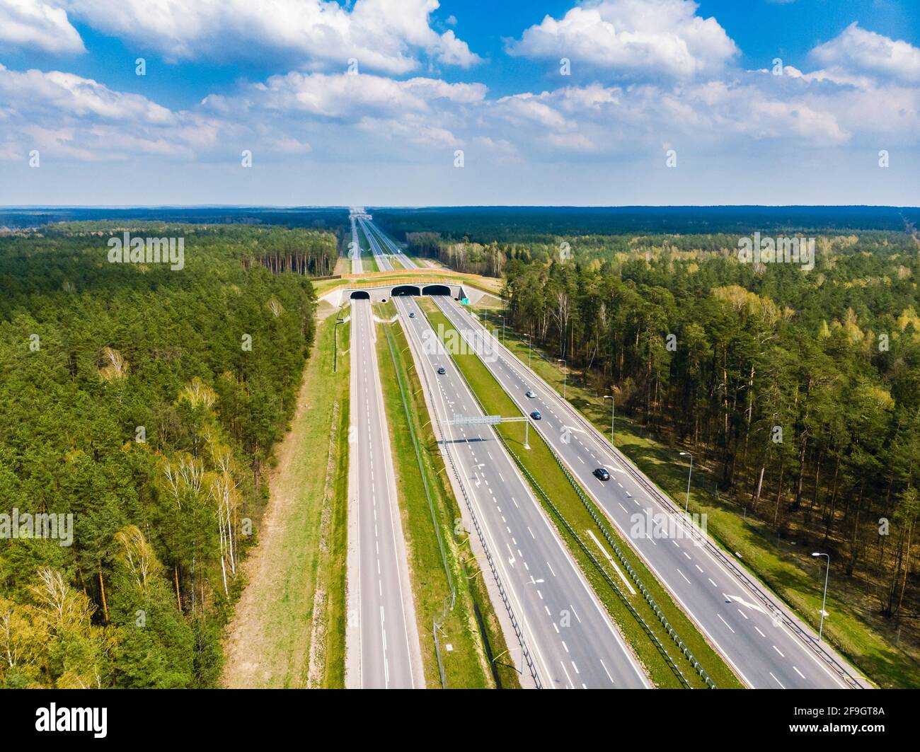 Expressway with ecoduct crossing - bridge over a motorway that allows ...