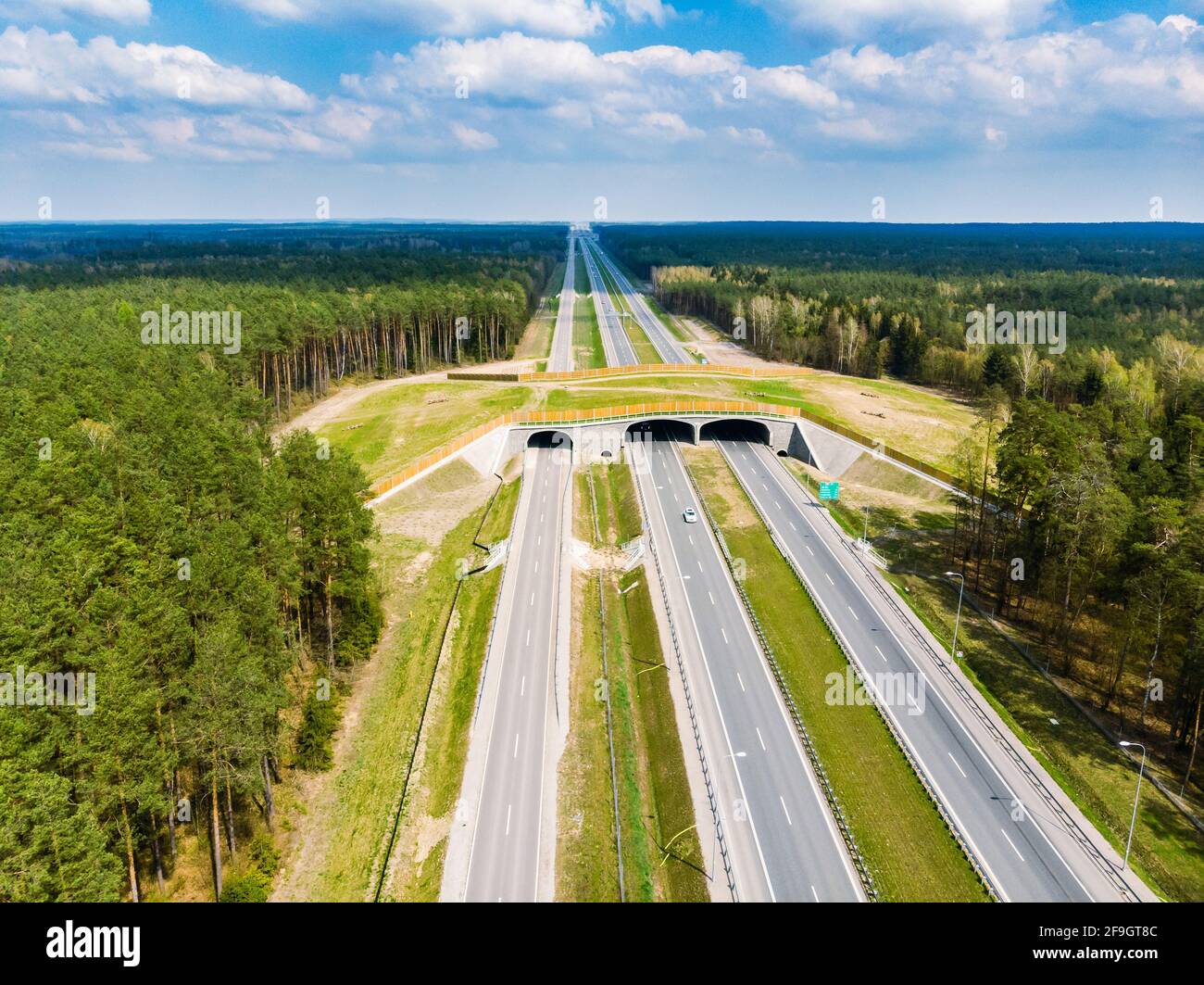 Expressway with ecoduct crossing - bridge over a motorway that allows ...