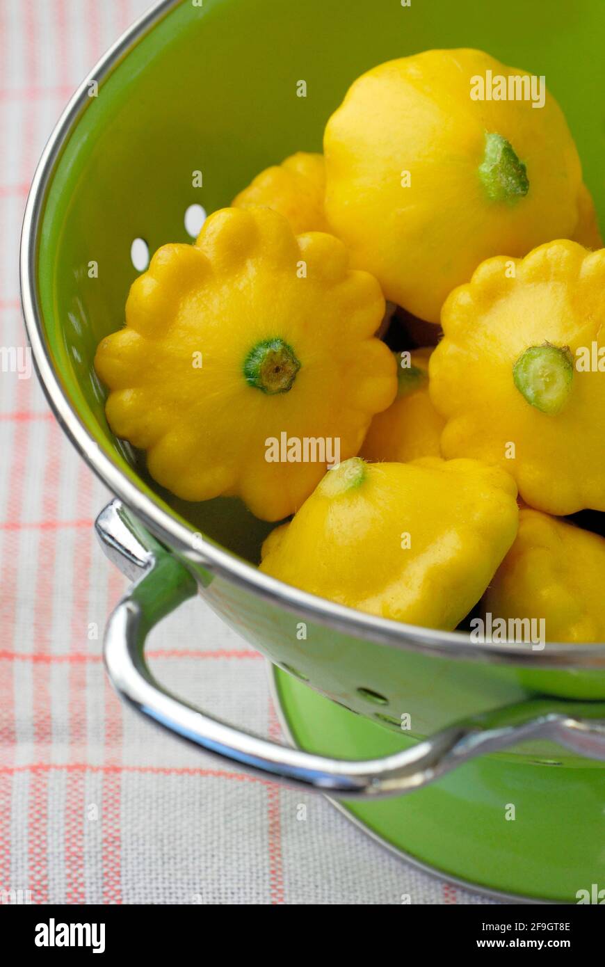Patisson, mini patissons, in a colander (Cucurbita pepo) , pumpkin ...