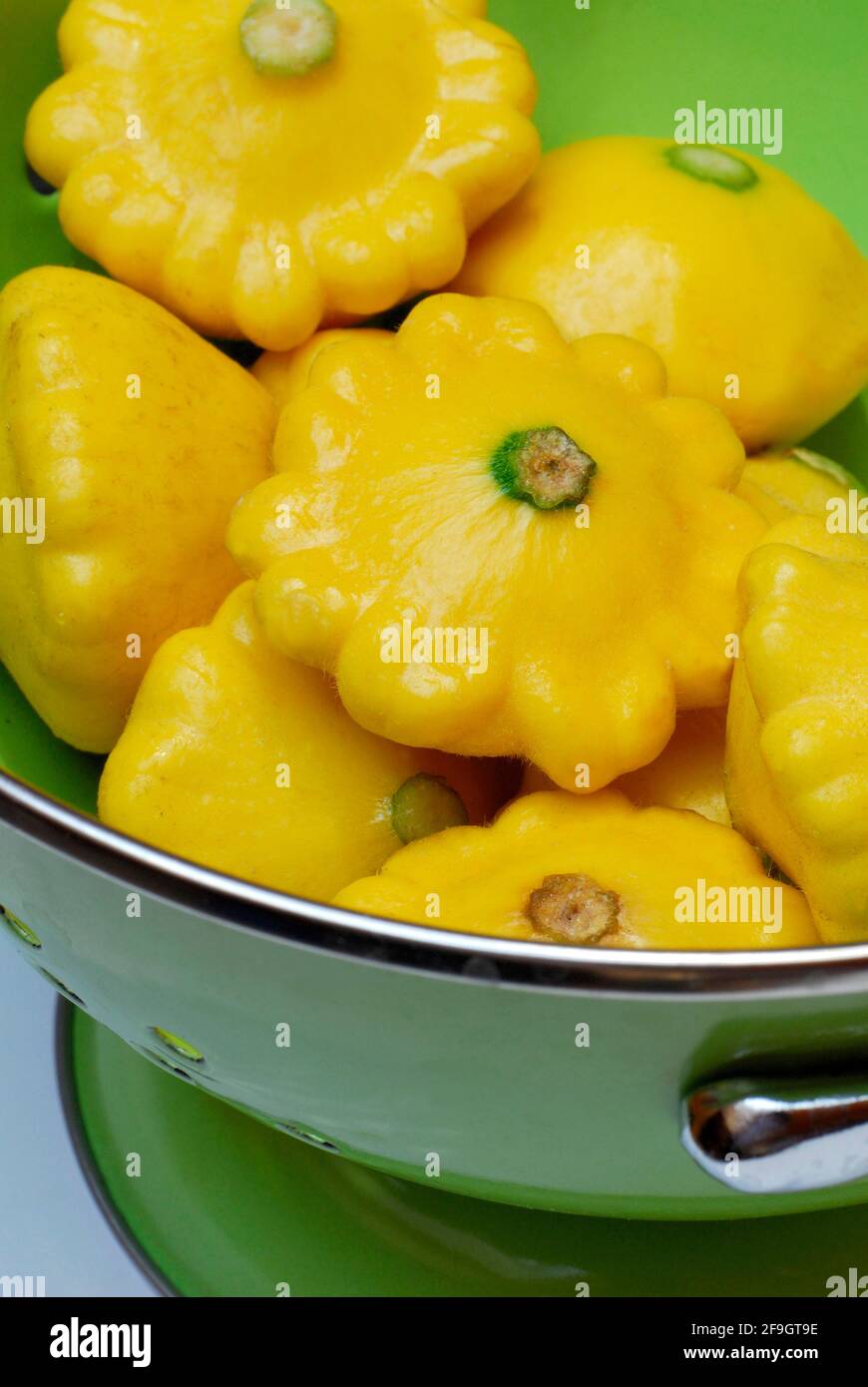 Patisson, mini patissons, in a colander (Cucurbita pepo) , pumpkin ...