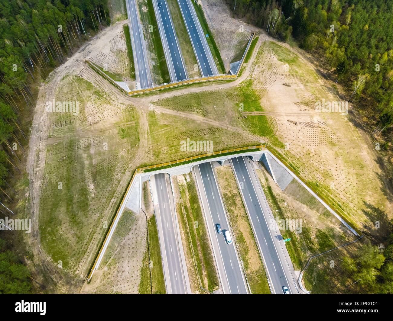 Expressway with ecoduct crossing - bridge over a motorway that allows ...