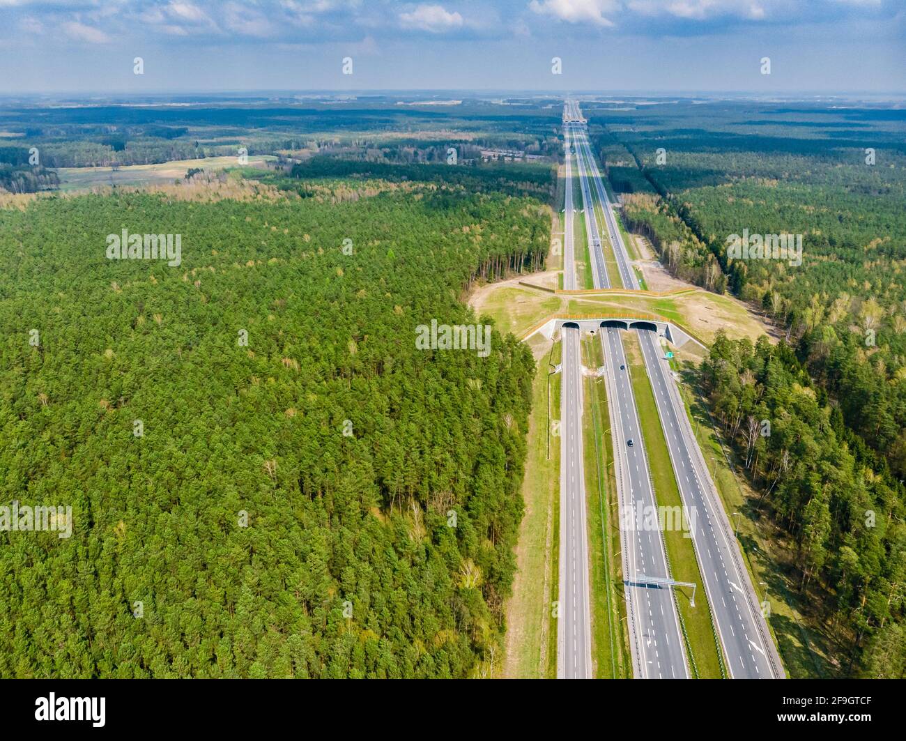 Expressway with ecoduct crossing - bridge over a motorway that allows ...