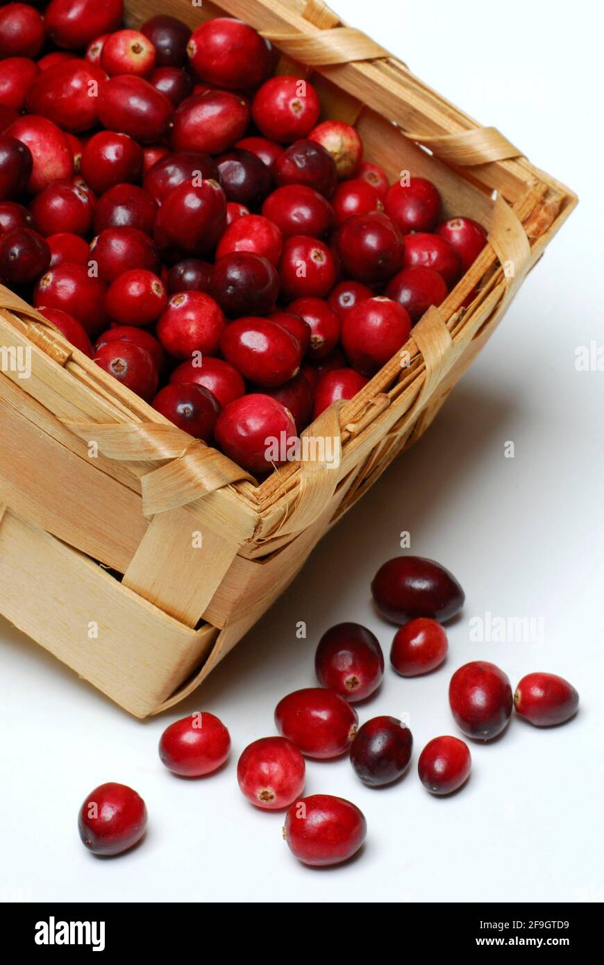 Cranberries (Vaccinium macrocarpon) Large fruity cranberry, cranberry ...
