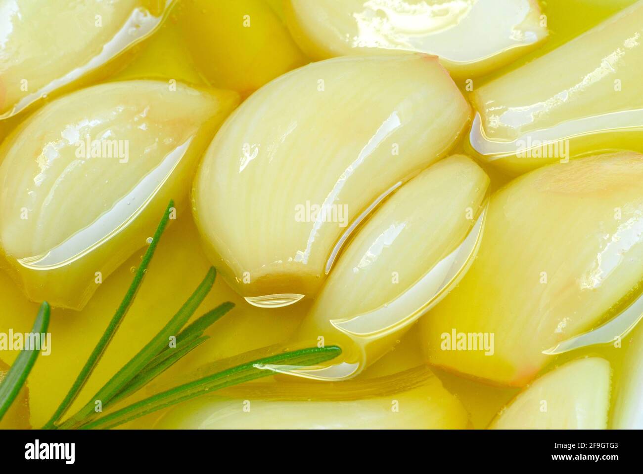 Garlictoes (Allium sativum) in olive oil, , olive oil Stock Photo - Alamy