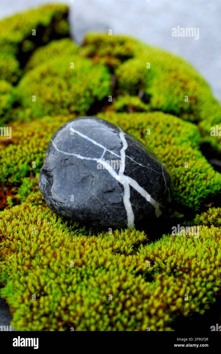 Stone on moss Stock Photo - Alamy