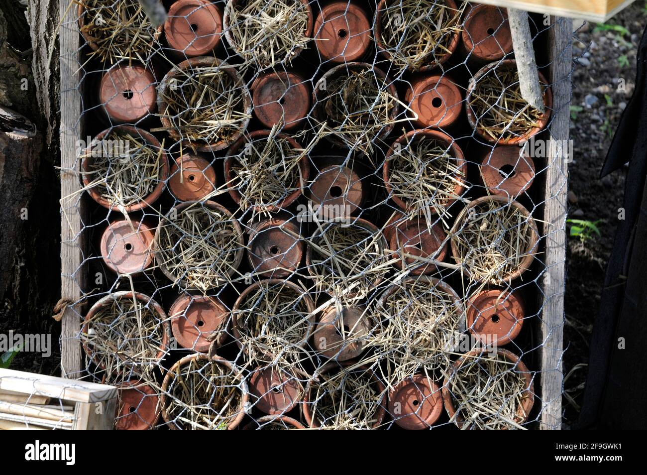 Insect hotel, nesting aid for insects, nature conservation, straw Stock ...