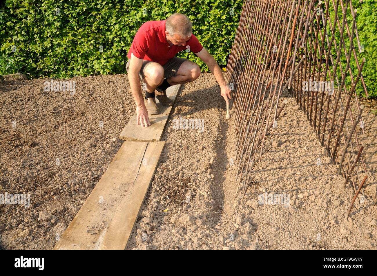 Man lays out vegetable patch, pulls seed furrow Stock Photo - Alamy