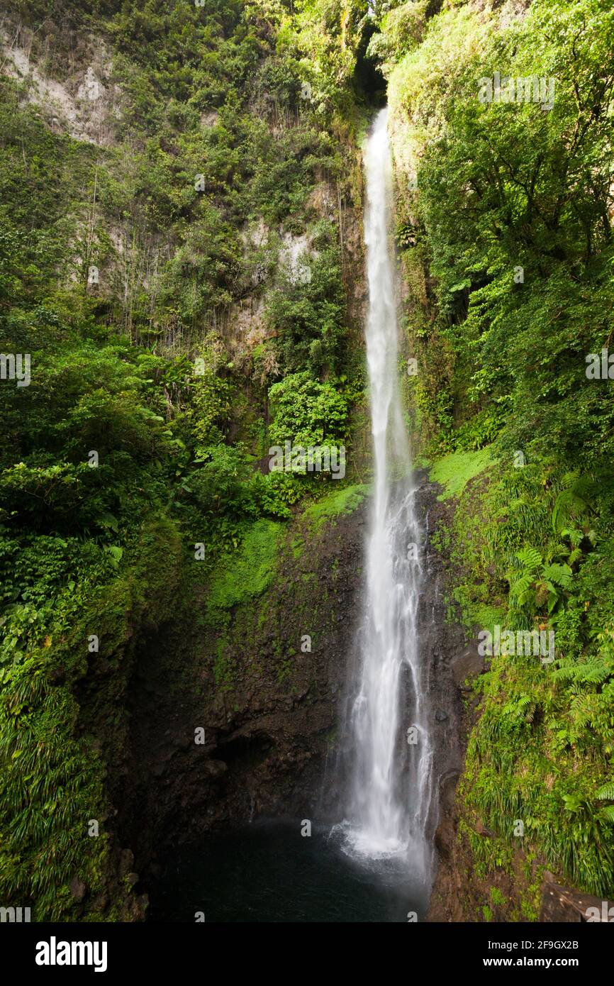 Middleham Falls Waterfall, Morne Trois Pitons National Park, Lesser ...
