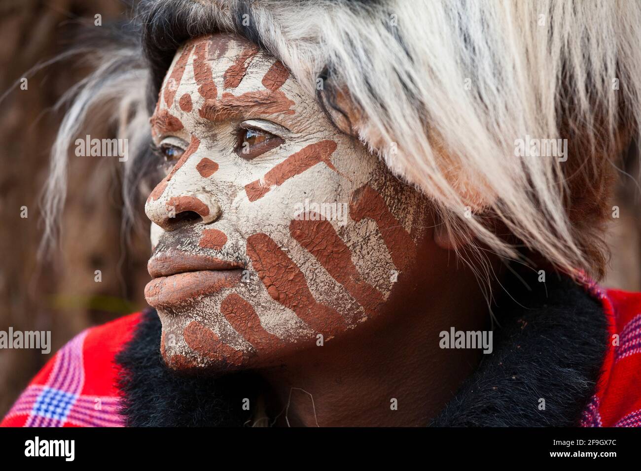 Kikuyu man with face painting, traditional clothing and headdress ...